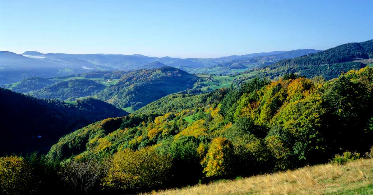 Location de vacances sportives dans le Bas-Rhin | Sportihome